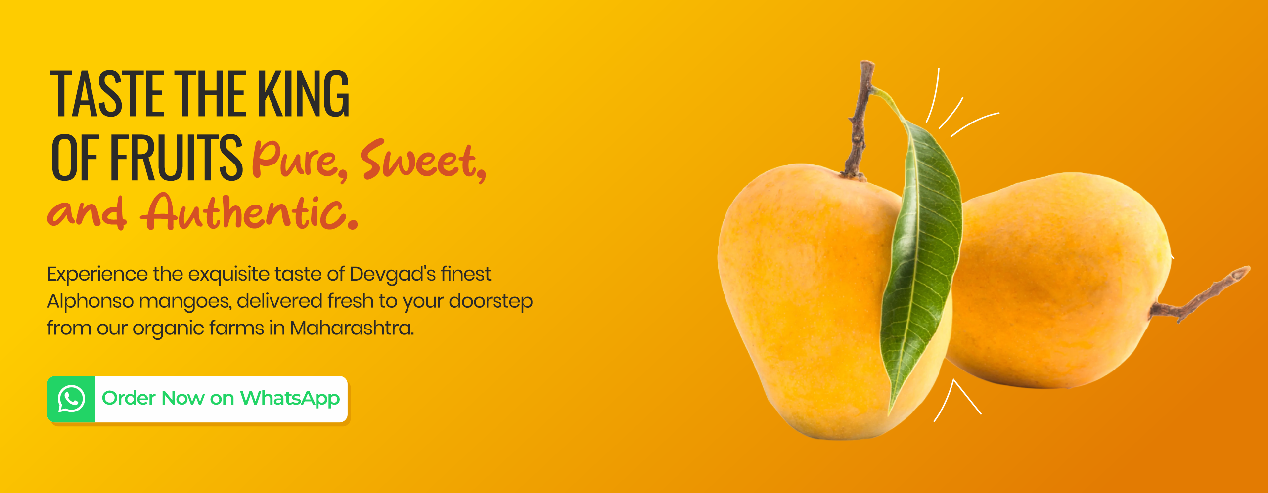 AMRAM - The King of Hapoos